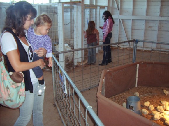 Cleveland County Fair – Cleveland County History